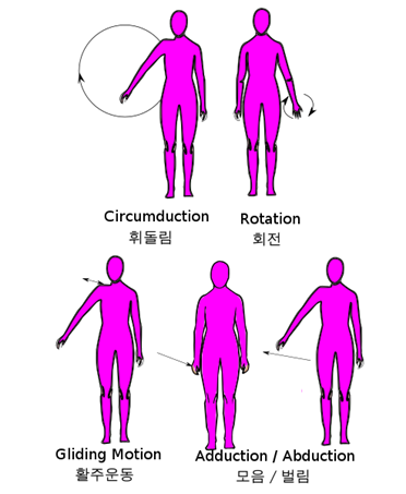 Terminology in Physiotherapy