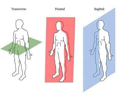 Terminology in Physiotherapy