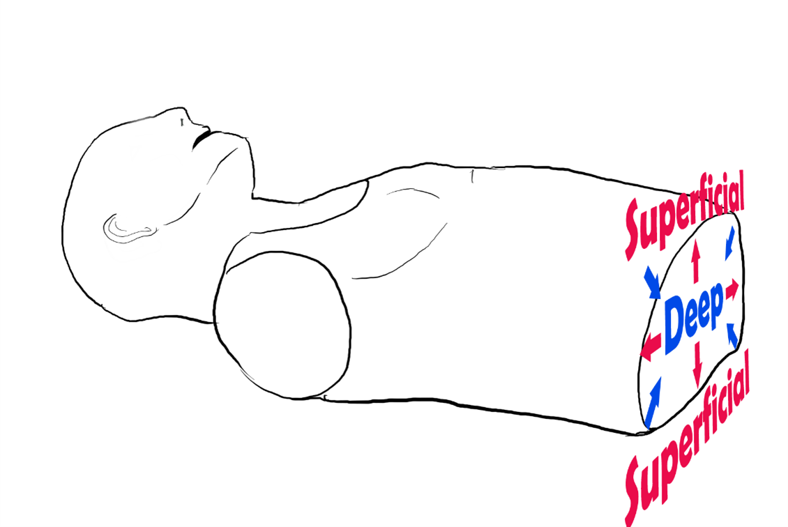 Terminology in Physiotherapy