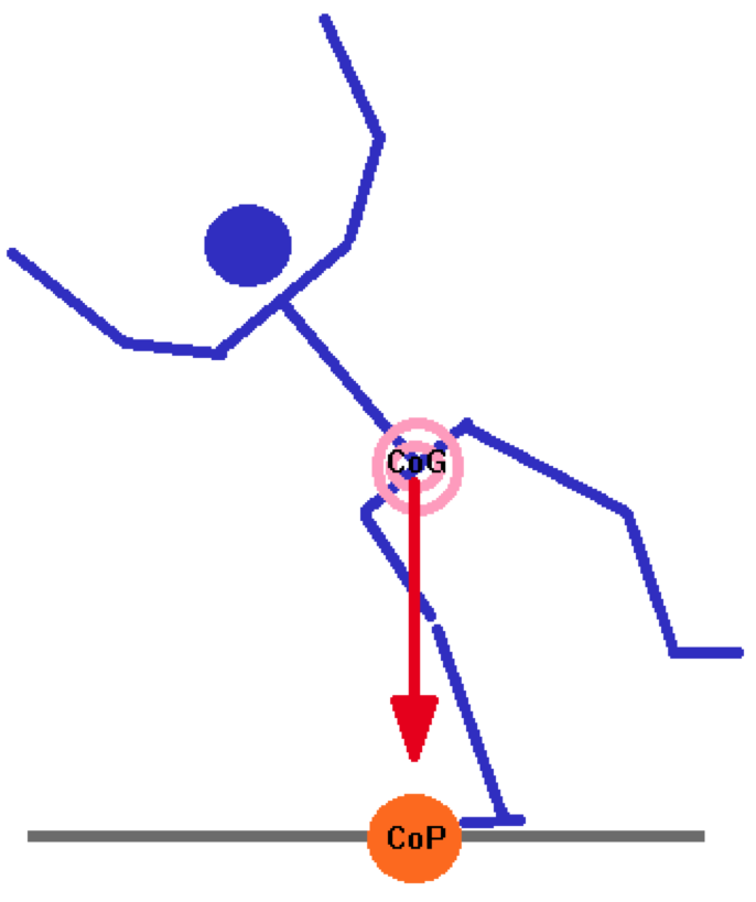 Terminology in Physiotherapy