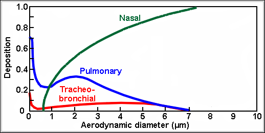 Lung Defences - Page 3 of 6